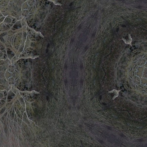 Stream Generate by Michael Steltzer | Listen online for free on SoundCloud