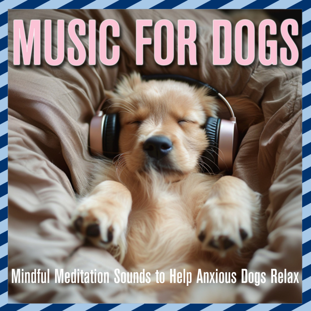Stream Relax My Dog | Listen to Music for Dogs: Mindful Meditation ...
