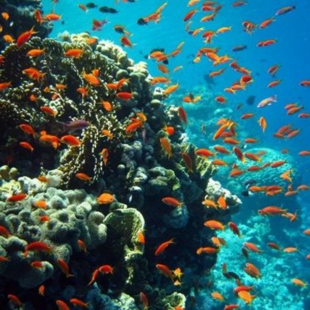 Stream Abbabajahnihoy | Listen to Aj Tracey Instrumental 🎤FREE DOWNLOAD ...