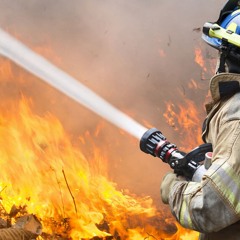 Darius Catching Fire