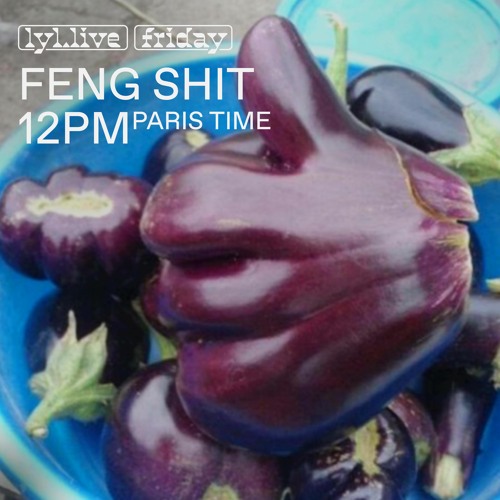 Stream episode Feng Shit #10 w/ Horasse by Décalé Records podcast ...