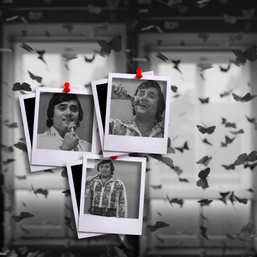 Stream Ce Frumoasa-I Seara Asta by Nicolae Raceanu | Listen online for ...