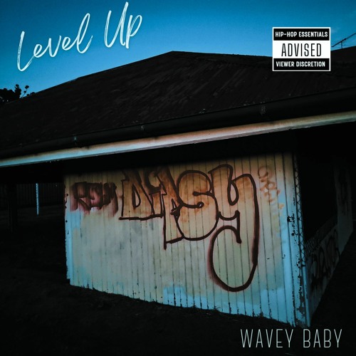 Stream Level Up - Wavey Baby by WaveyBaby | Listen online for free on ...