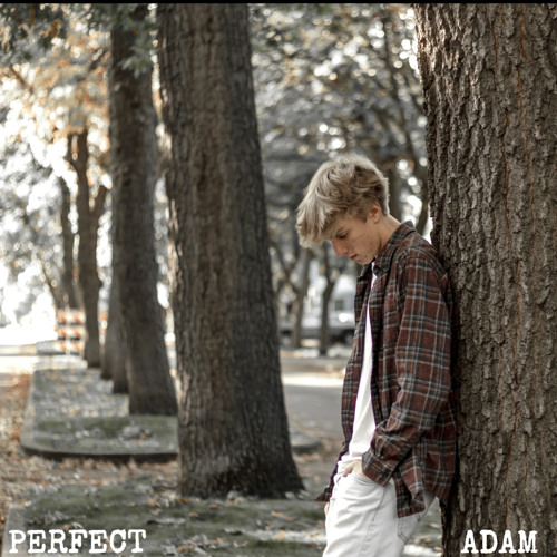 Stream PERFECT by Adam | Listen online for free on SoundCloud