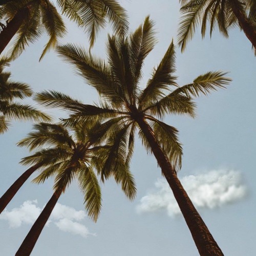 Stream dui - lil tecca, slowed and reverb by reverb! | Listen online ...