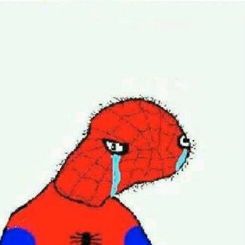 Y U Do Dis Spoderman