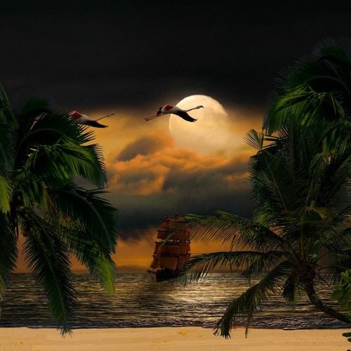 Stream Wild Adventure by Tarax | Listen online for free on SoundCloud