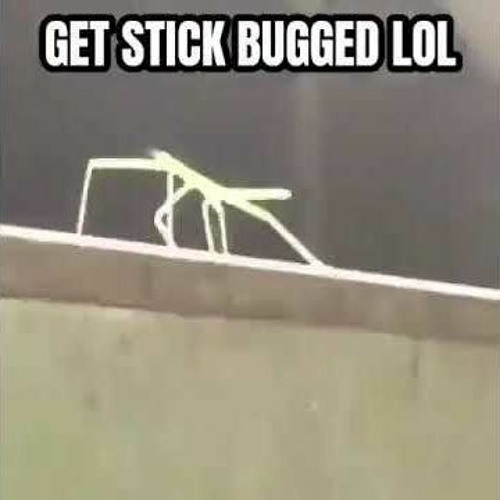 Stream GET STICK BUGGED TYPE BEAT by kid genji | Listen online for free ...