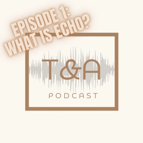Stream Episode 1: What is Echo? by Tim & Amy Podcast | Listen online ...