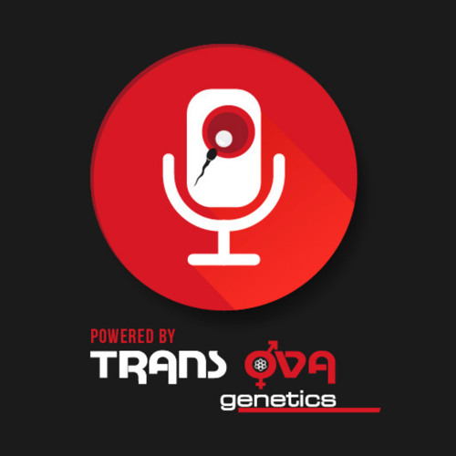 Stream 2024 Trans Ova Interns by Trans Ova Genetics | Listen online for ...