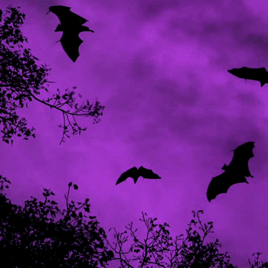 Stream mf ds | Listen to The October Tape (Expanded Edition) playlist ...
