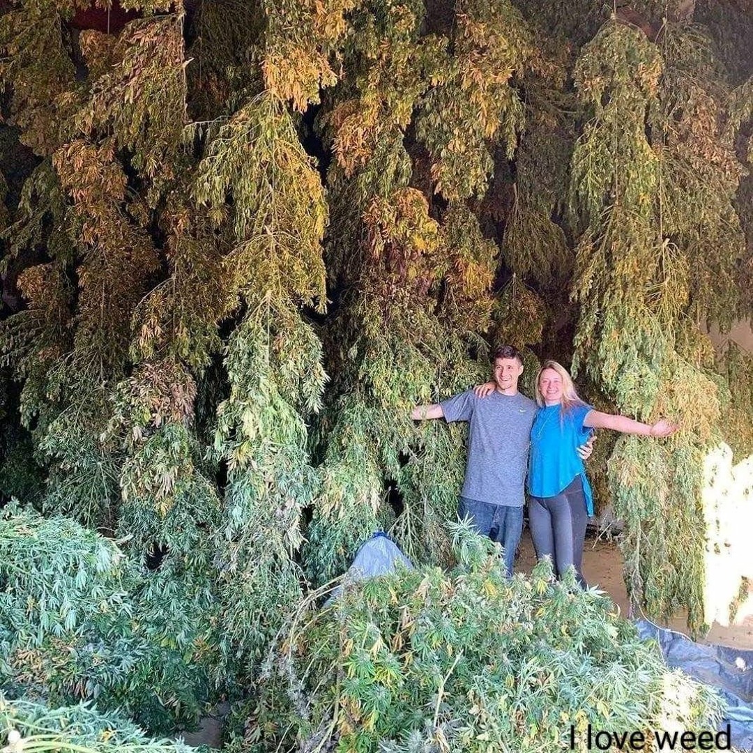 Stream Marlon Asher X Tarrus Riley X Capleton Diamonds Gold.mp3 by Manu ...