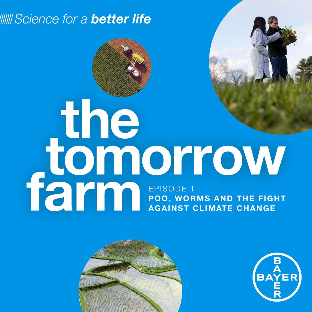 Stream 1. Poo, Worms, and the Fight Against Climate Change by Paradowski Creative | Listen ...