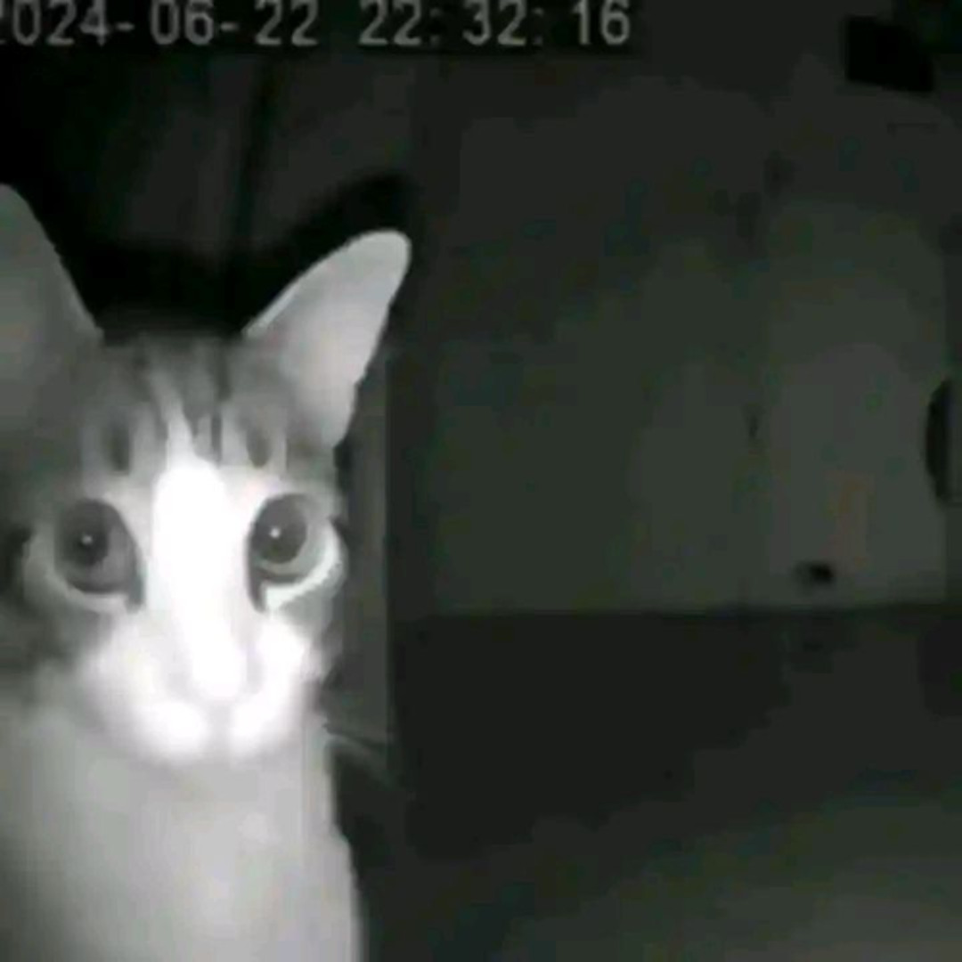 Stream Left On Read (remastered) by Jorry | Listen online for free on ...