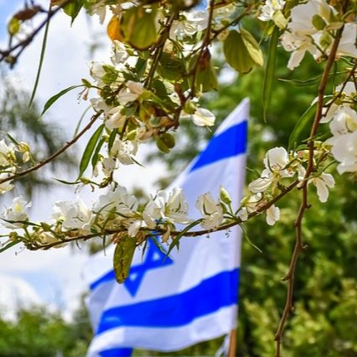 Stream Israel Has Become a World Leader - The Jay Shapiro Show by ...