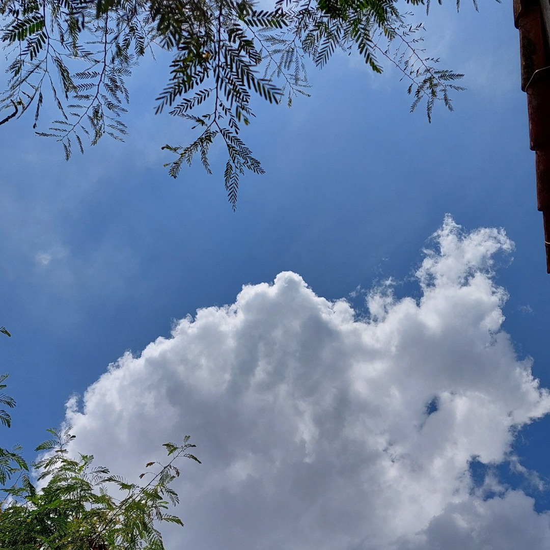 Stream Olivia Rodrigo - Drivers License Duet Cover (Lesya & Dini) by ...