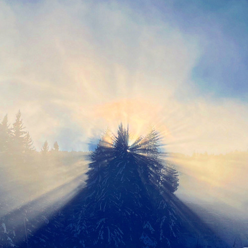 Stream The Knife - Heartbeats (Jonnie's Version) by Jonnie Allen ...