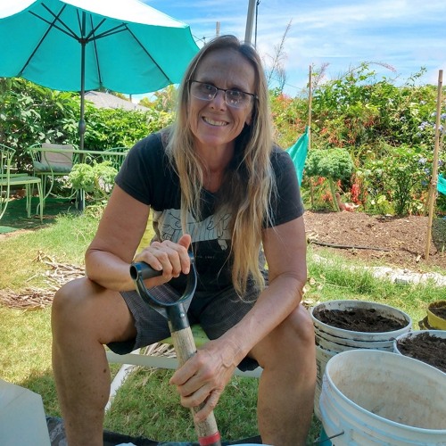 Stream episode Artist Mary Babcock in Hawai'i Volcanoes National Park ...