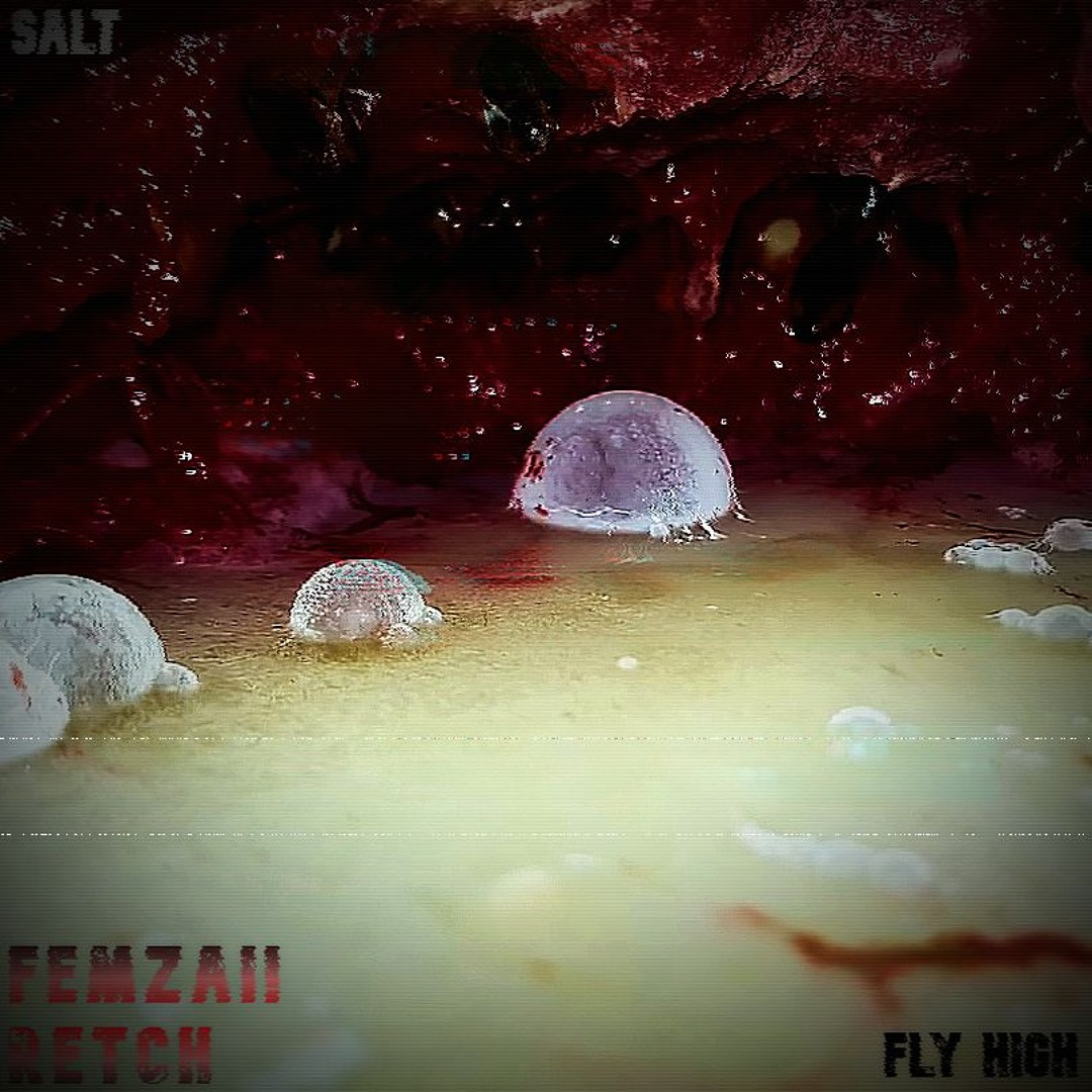 Stream SALT :// FLY HIGH by FemZai | Listen online for free on SoundCloud