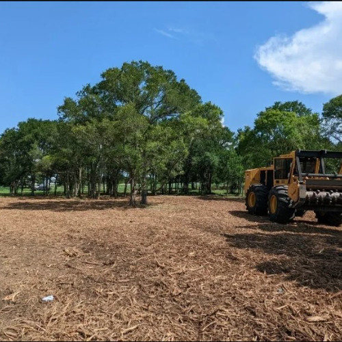 Stream Clearing Right of way Land Requires the Right Equipment by ...