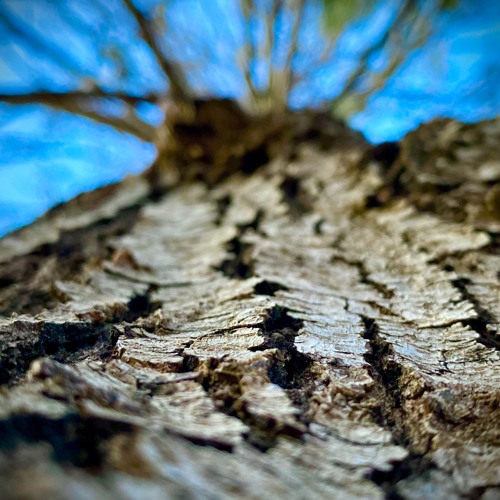 Stream Parametric Inference by Shay Oren | Listen online for free on ...