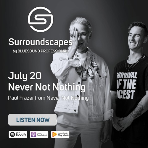 Stream episode Paul Frazer, Never or Nothing by Surroundscapes podcast ...