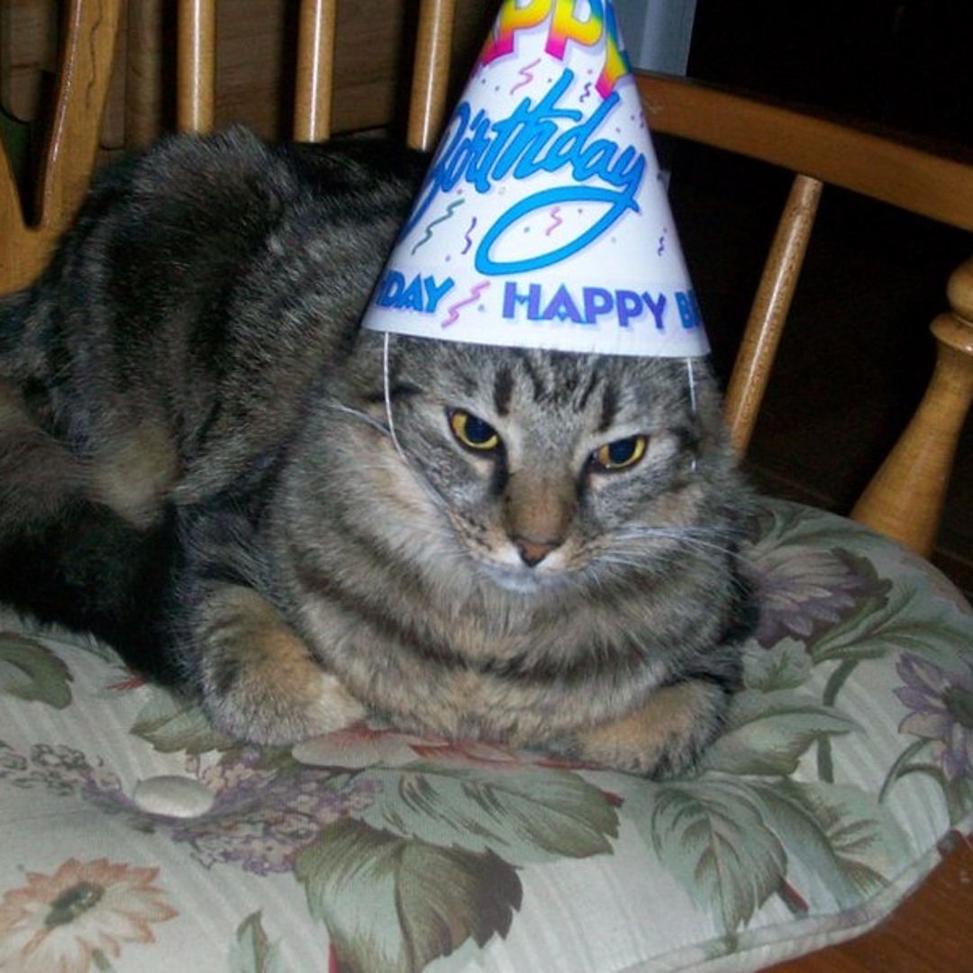 Stream perkacolafan123 | Listen to pilotredsun favorites playlist ...