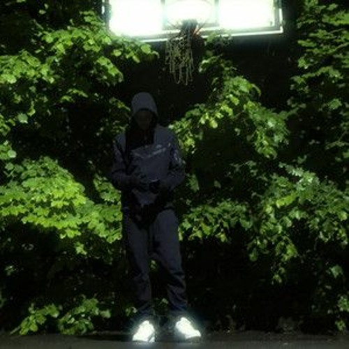 Stream PROFLAME - NUODEMINGAS... by Dj Ukmanas | Listen online for free ...