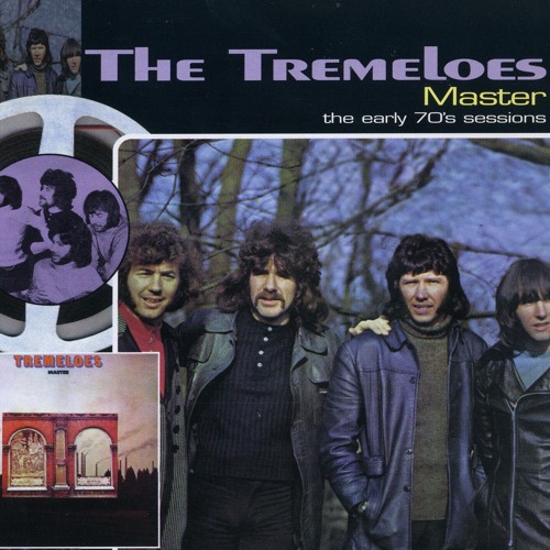 Stream Hello Buddy by The Tremeloes | Listen online for free on SoundCloud