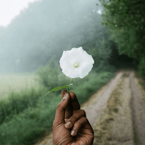 Stream JUST MASTER LOVING GOD (2024) by Rhob Elliott - Songwriter ...