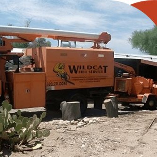 Stream episode Wildcat Tree Service - Tree service - 520-271-0034 by ...