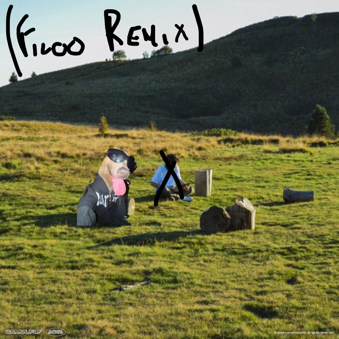 Stream camoufly-always (Filoo remix) by Filoo | Listen online for free ...