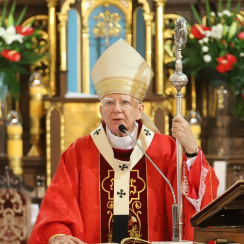 Stream Homilia - Bierzmowanie w parafii MB Królowej Polski w Stróży 21. ... Stream Homilia - Bierzmowanie w parafii MB Królowej Polski w Stróży 21. ...