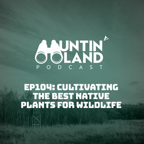 Stream Cultivating the Best Native Plants for Wildlife with Kyle ...