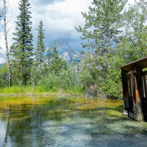 Stream episode Marsh Loop Trail by Action Tour Guide podcast | Listen ...