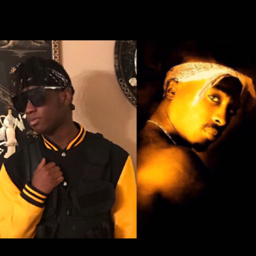 Stream The Cat Diss 2 | Tupac Hit Em Up REMIX by Hitfire HG | Listen ...