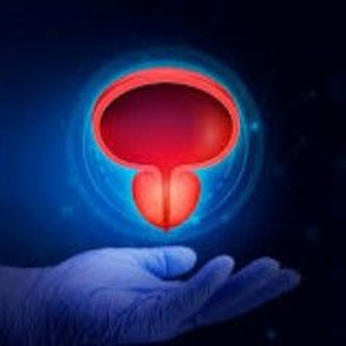 Stream Razones por las que Xenopos Comentarios es esencial para tu ...