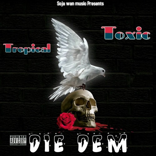 Stream Die Dem by Tropical Toxic | Listen online for free on SoundCloud