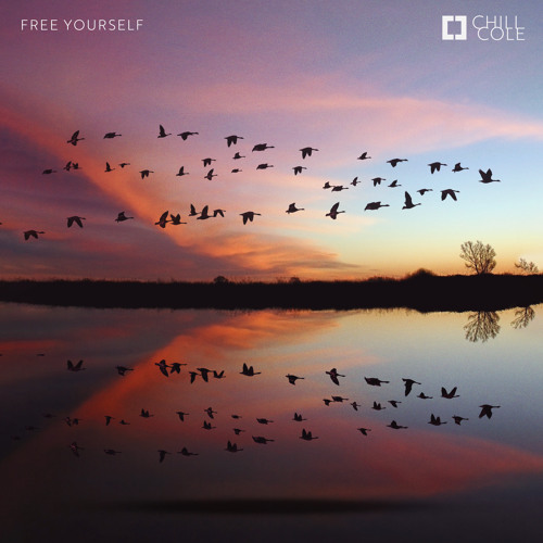 Stream Free Yourself by Chill Cole | Listen online for free on SoundCloud
