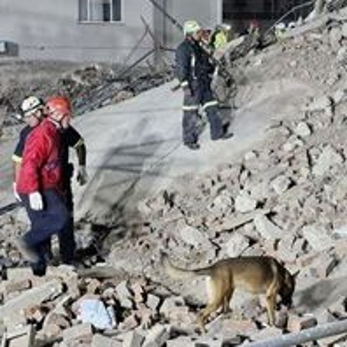 Stream Death toll in George building collapse rises to 27 as rescue ... Stream Death toll in George building collapse rises to 27 as rescue ...