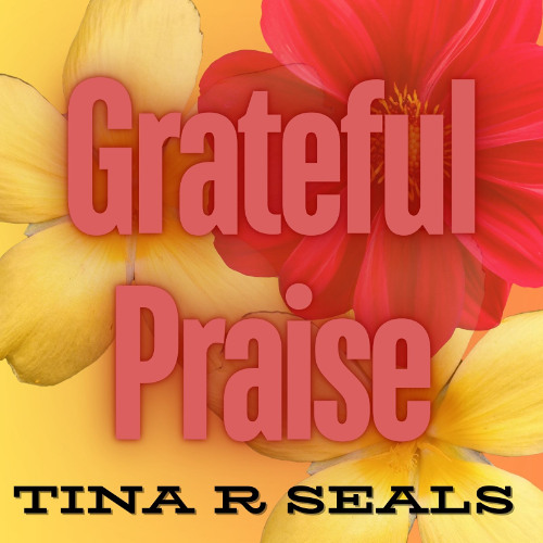 Stream Grateful Praise - Tina R Seals - c2024 - Grateful Intro - yeah ...