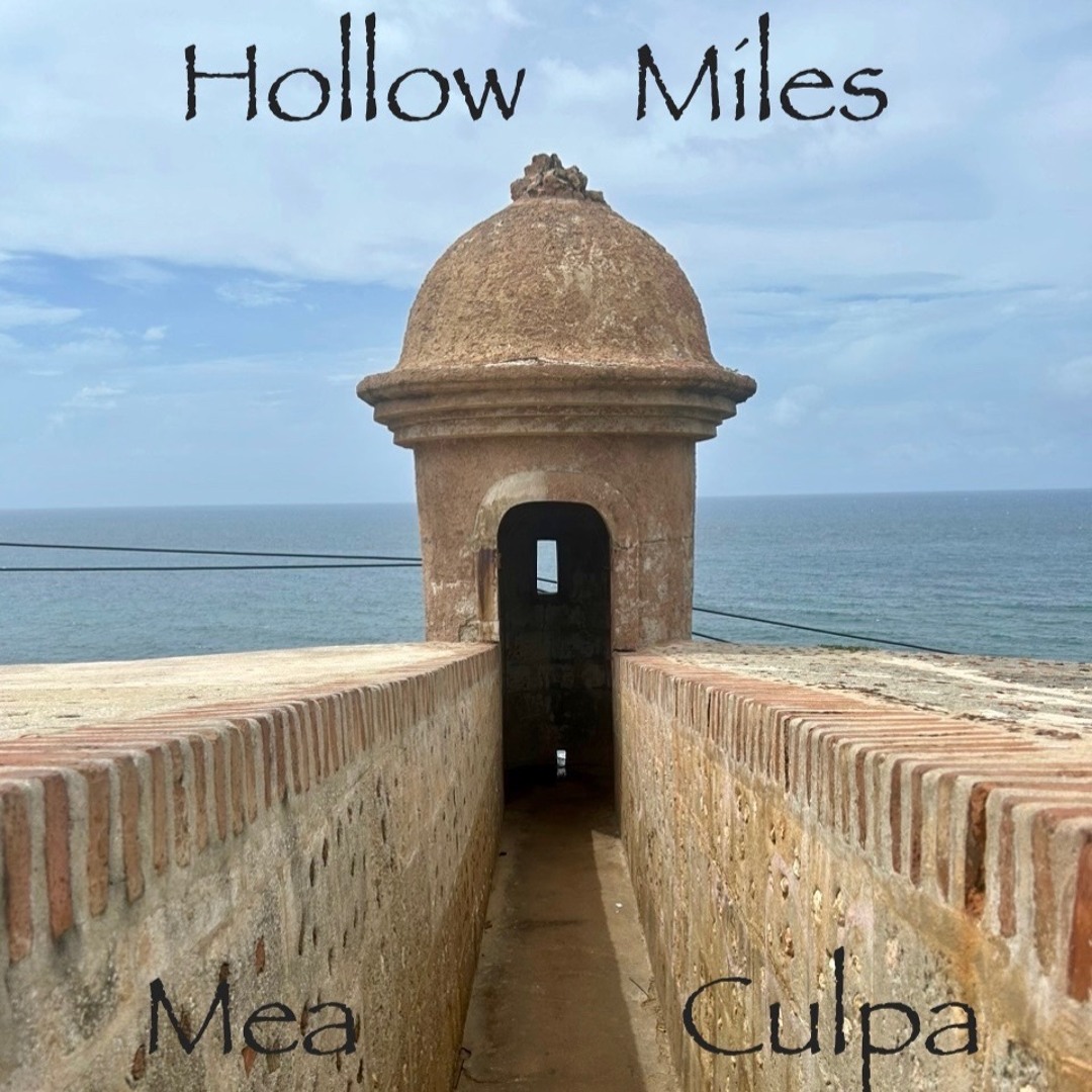 Stream What Does Normal Look Like? by Hollow Miles | Listen online for ...