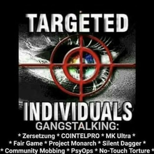 Stream episode 103: Targeted Individuals by Chrome Boys podcast ...