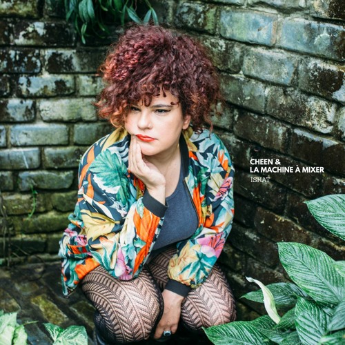 Stream Cheen & La Machine A Mixer - Téléphone Cassé - PKmix by Phil ...