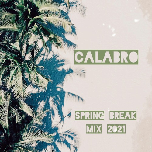 Stream SPRING BREAK MIX 2021 by OldFriends. | Listen online for free on ...