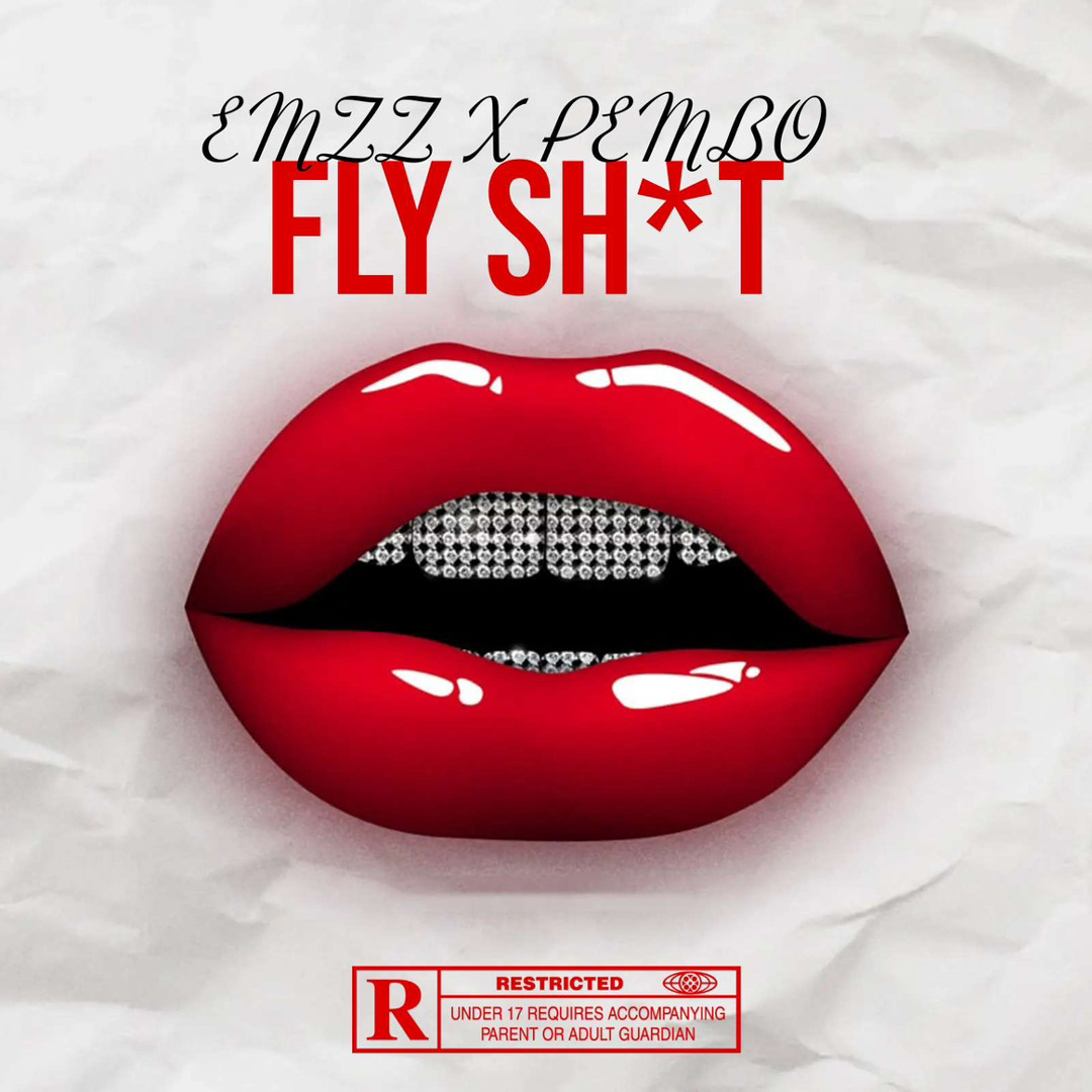 Stream Fly Shxt (feat emzz) by Pembo | Listen online for free on SoundCloud