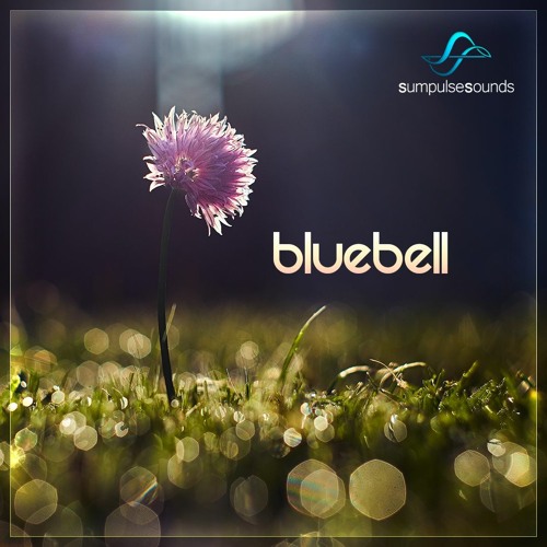 Stream Bluebell Logo (2 versions) by Sumpulse Sounds | Listen online ...