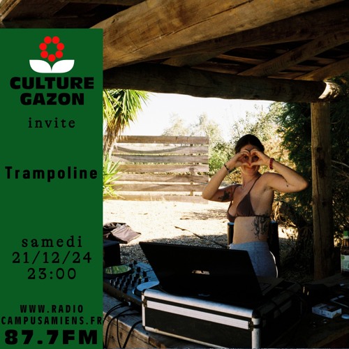 Listen to music albums featuring Trampoline - 21 décembre 2024 by ...