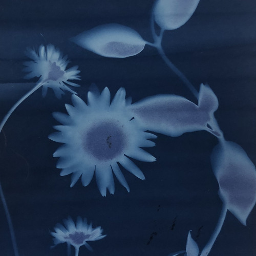 Stream Florry - Period by Nino | Listen online for free on SoundCloud