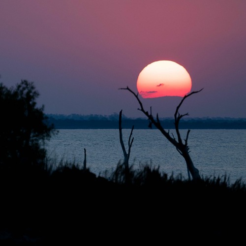 Stream Sebastian Alejandro - New Set 2023 by Sebastianalejandro ...